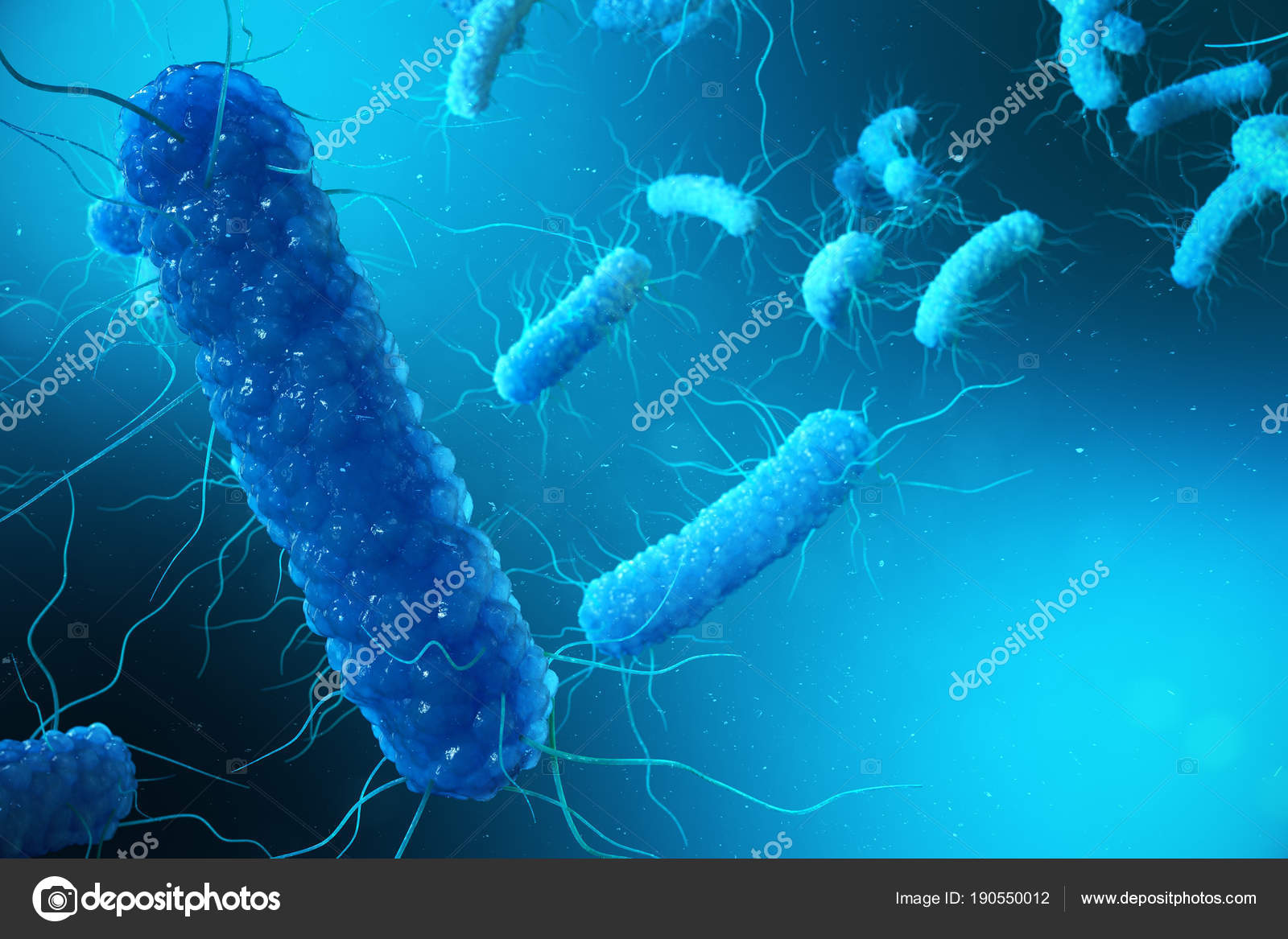 Bacterias Gram Negativas Gram Positive Bacteria " Photographic Print