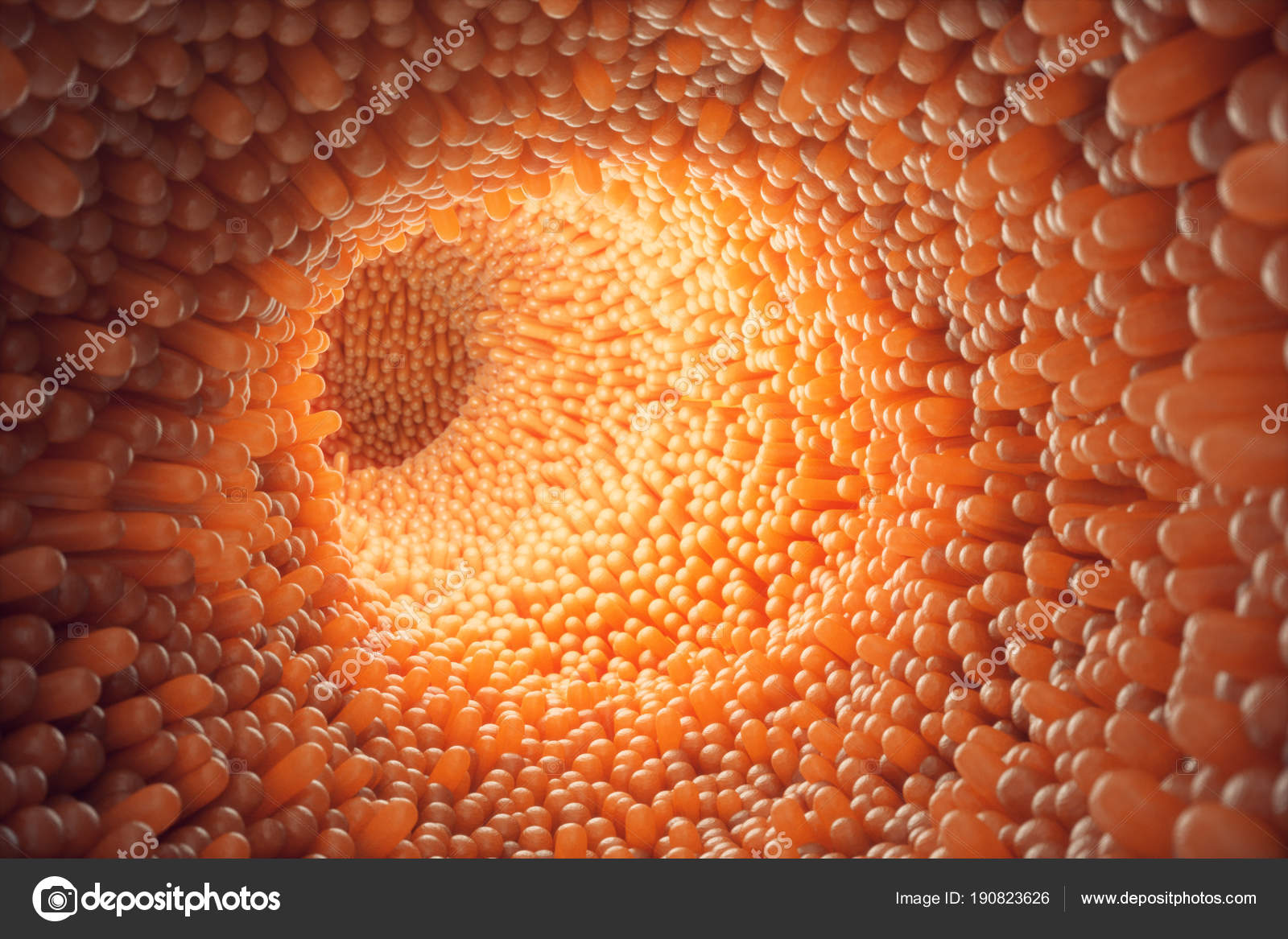 Illustration Close Intestinal Villi Intestine Lining Microscopic Villi ...