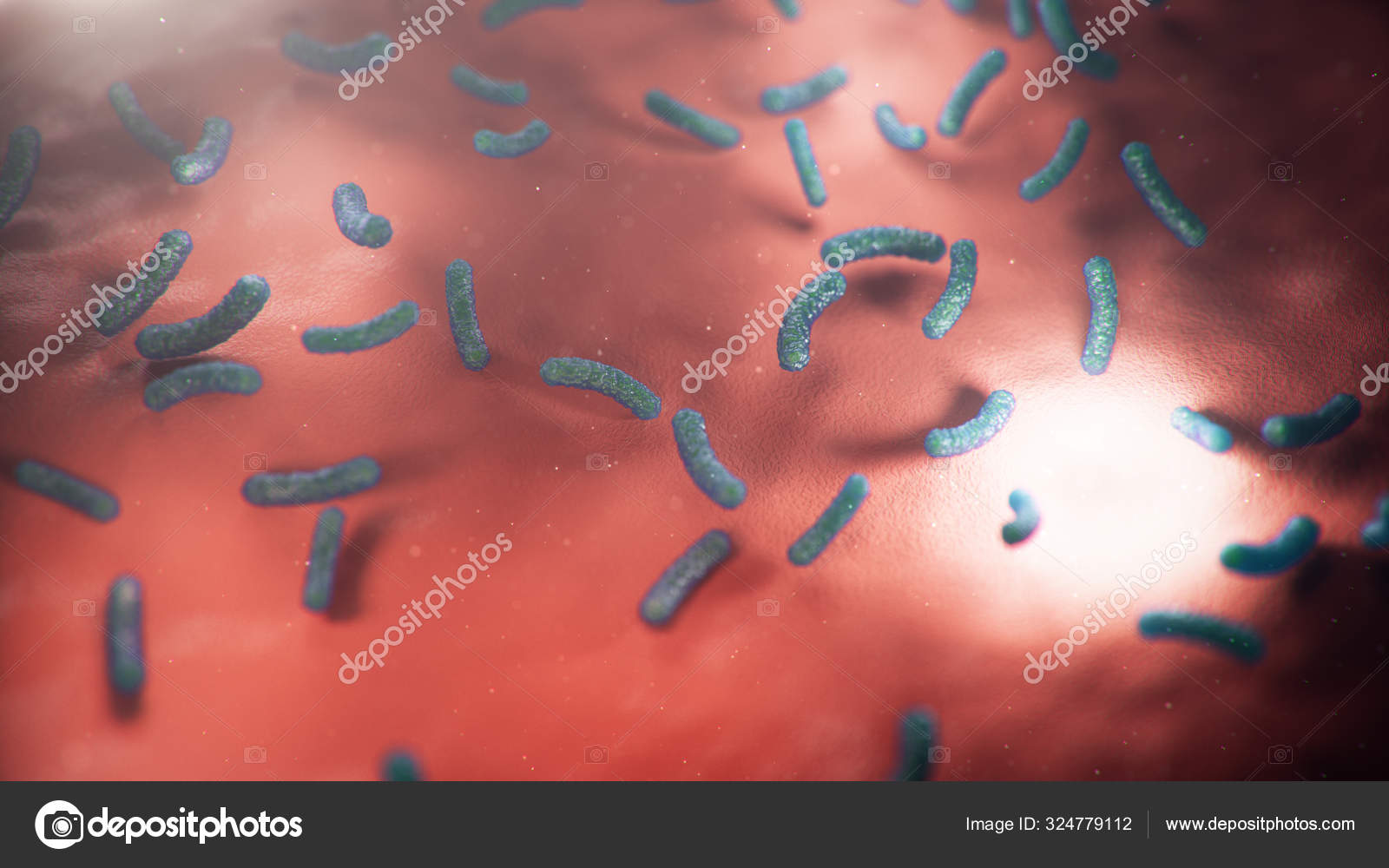 Acidophilic Bacteria