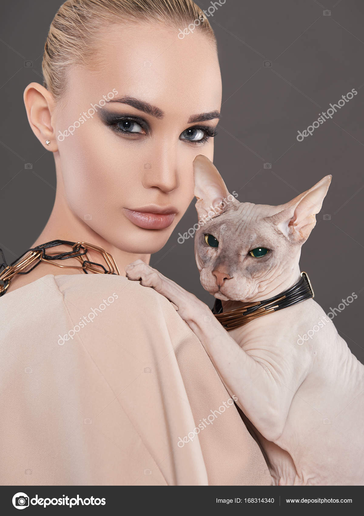 Beautiful Sphynx Cat