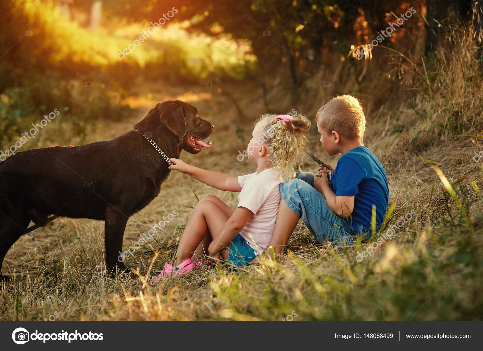 Boy walking with a Labrador Stock Photo by ©fisher05 148068499