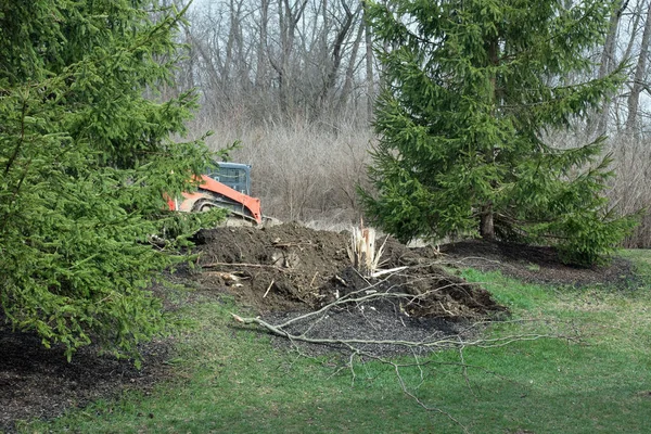 Bobcat machine Stock Photos, Royalty Free Bobcat machine Images ...