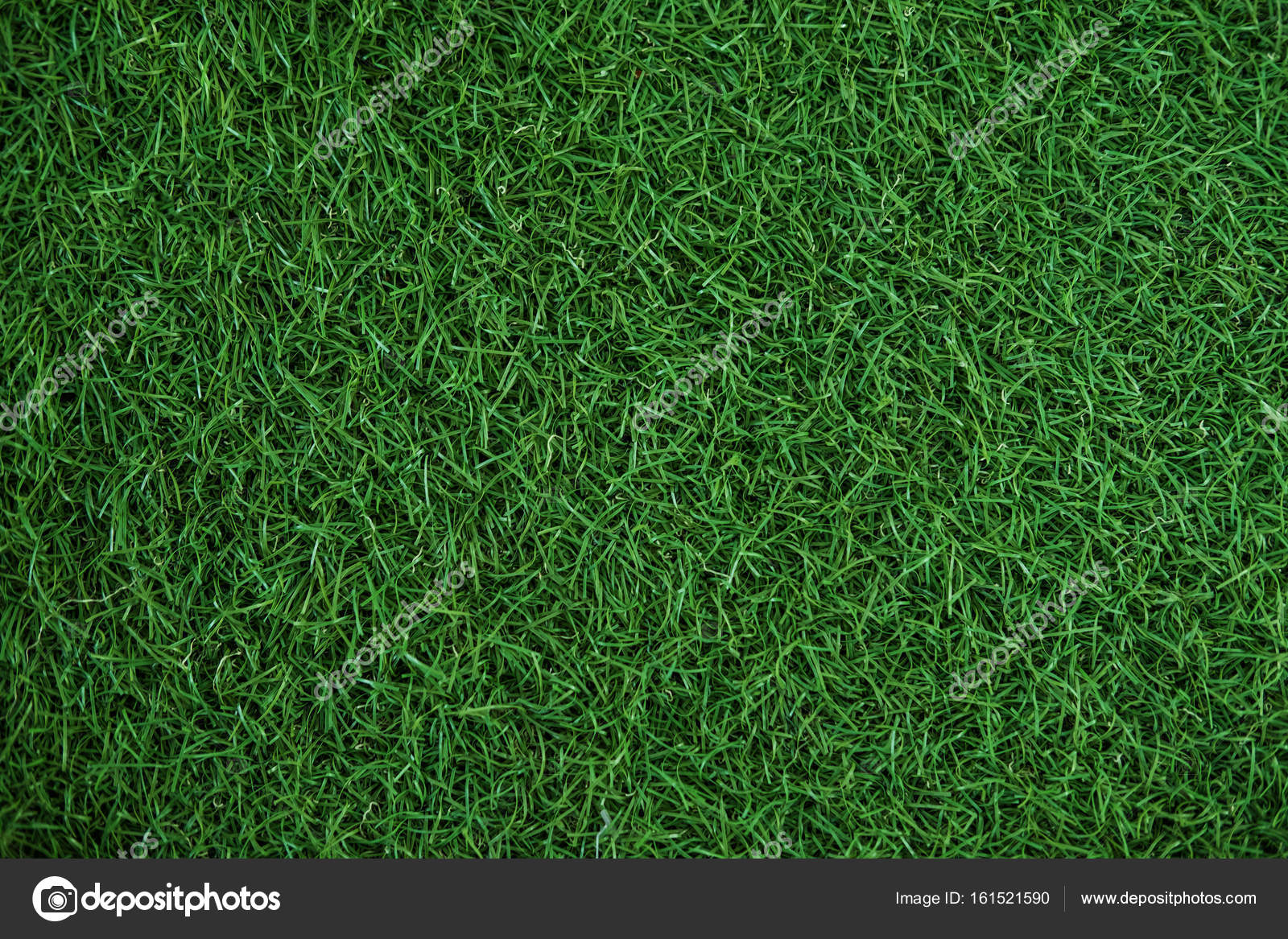 Green grass texture, turf texture Stock Photo by ©SasinP. 161521590