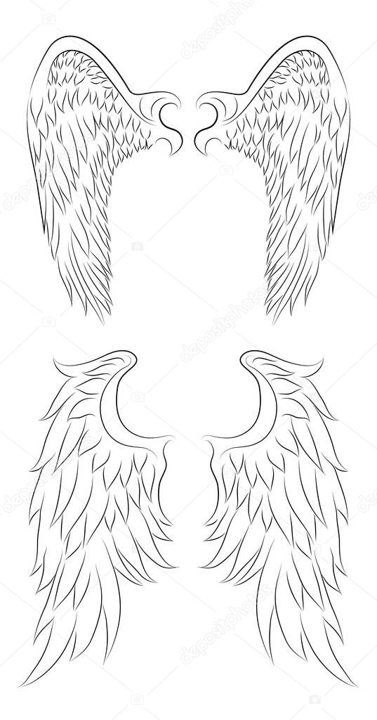 Disegno Ali Angelo Scuro Set Di Diverse Ali Del Diavolo Nero. Abito Da