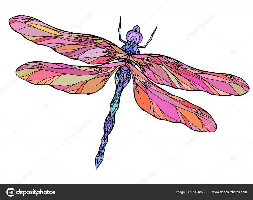Libélula colorida con patrón boho Vector de stock por ©veleri 170948586
