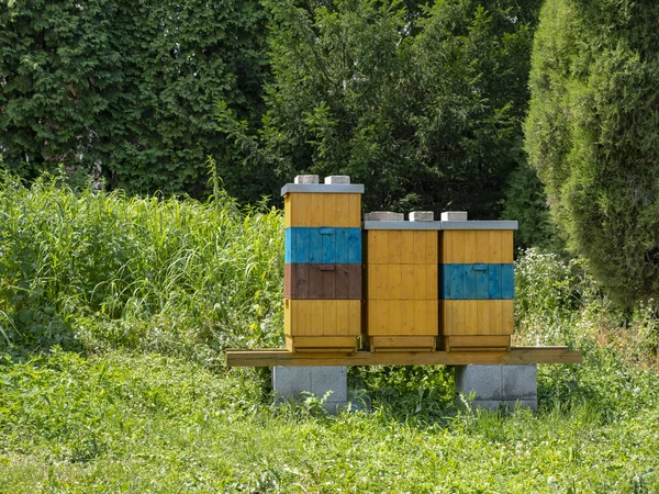 Dadant beehive Pictures, Dadant beehive Stock Photos & Images ...