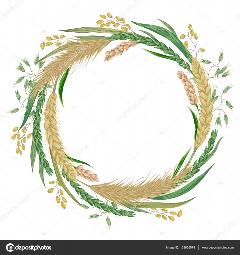 Hvete Krans Vektor Kerstkrans Royalty Free Stock Vector Images And