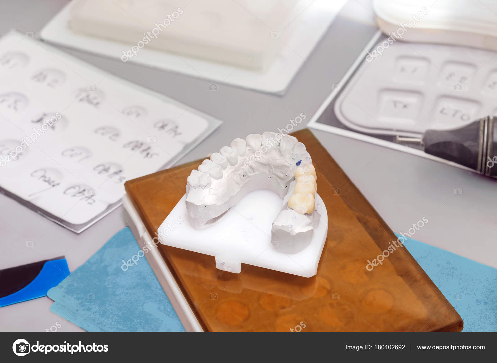 Model gigi gipsum dengan gigi keramik — Foto Stok © agephotography ...