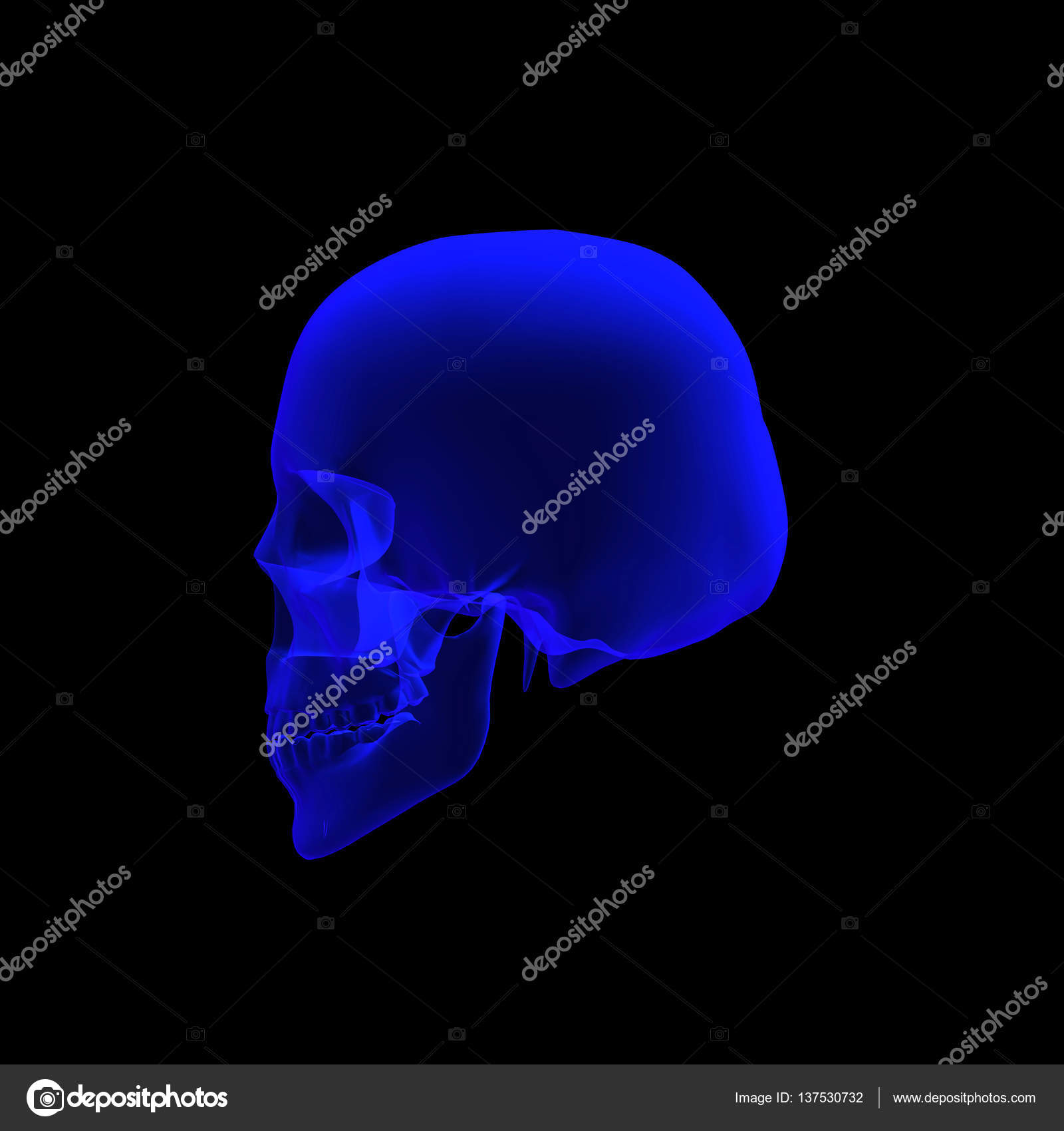 3D rendering of human skull — Stock Photo © mirceagrau #137530732