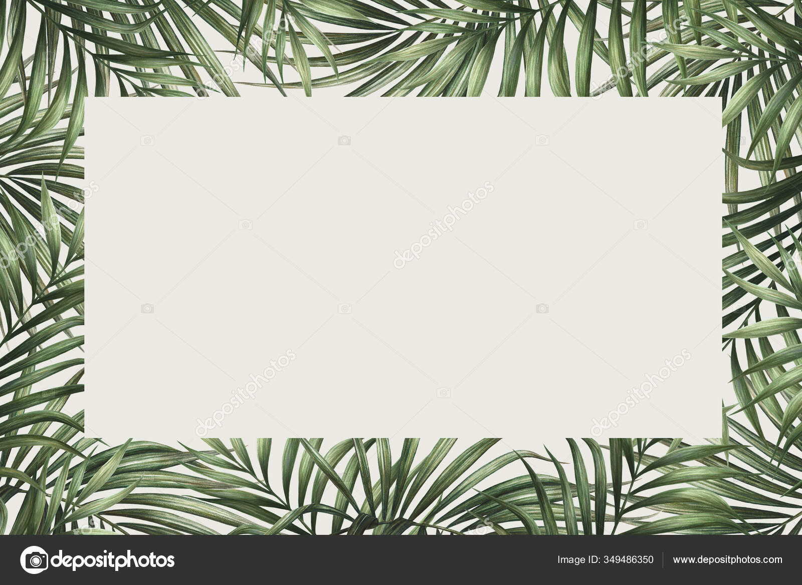 Palm Leaves Border Design Tropical Watercolor Background Palm Tree ...