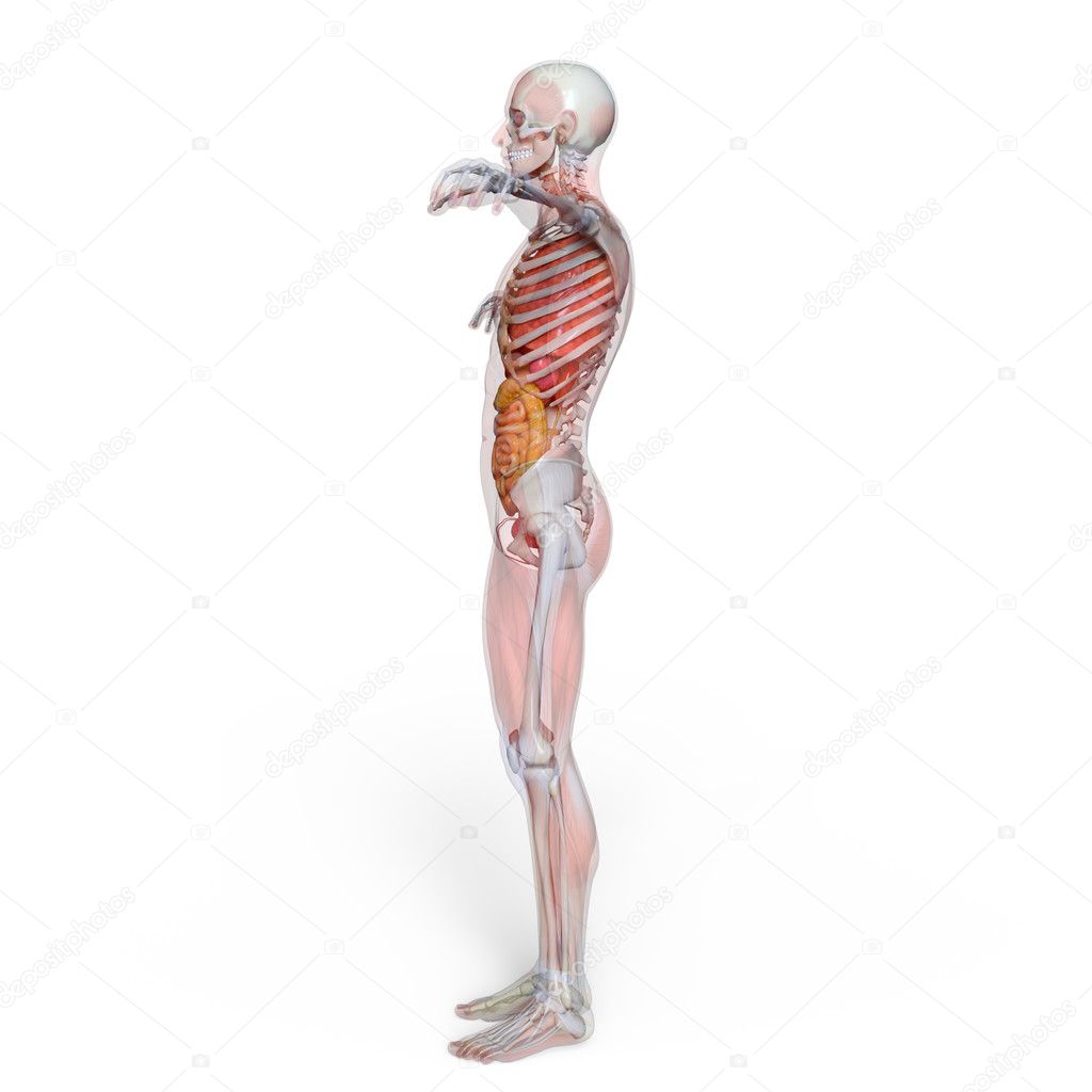 3D CG rendering of a male lay figure — Stock Photo © TsuneoMP #128738442