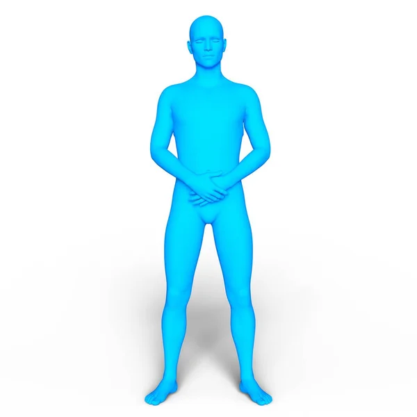Male body shapes - human body outline - posterior and anterior view ...