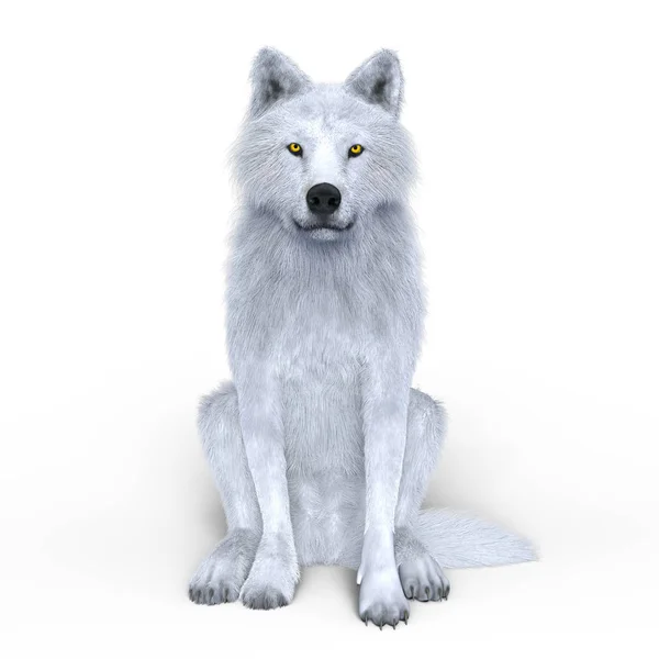 Wolf render Stock Photos, Royalty Free Wolf render Images | Depositphotos