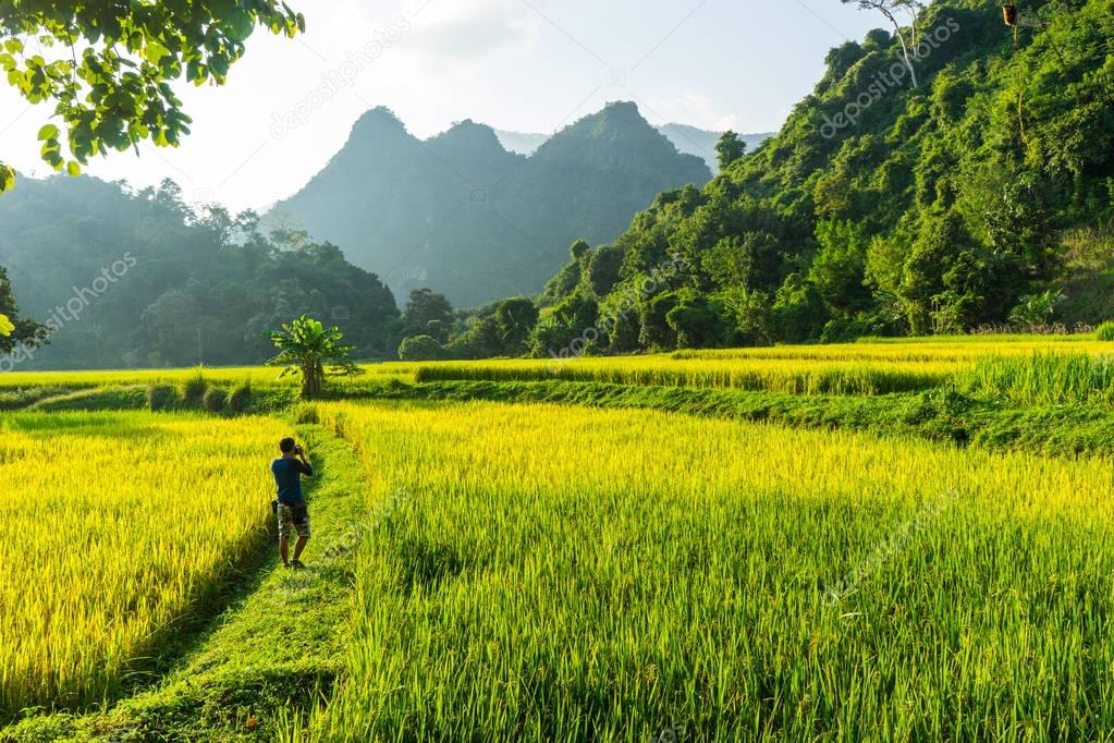 Photograper taking rice farm view shot. — Stock Photo © goldquest ...