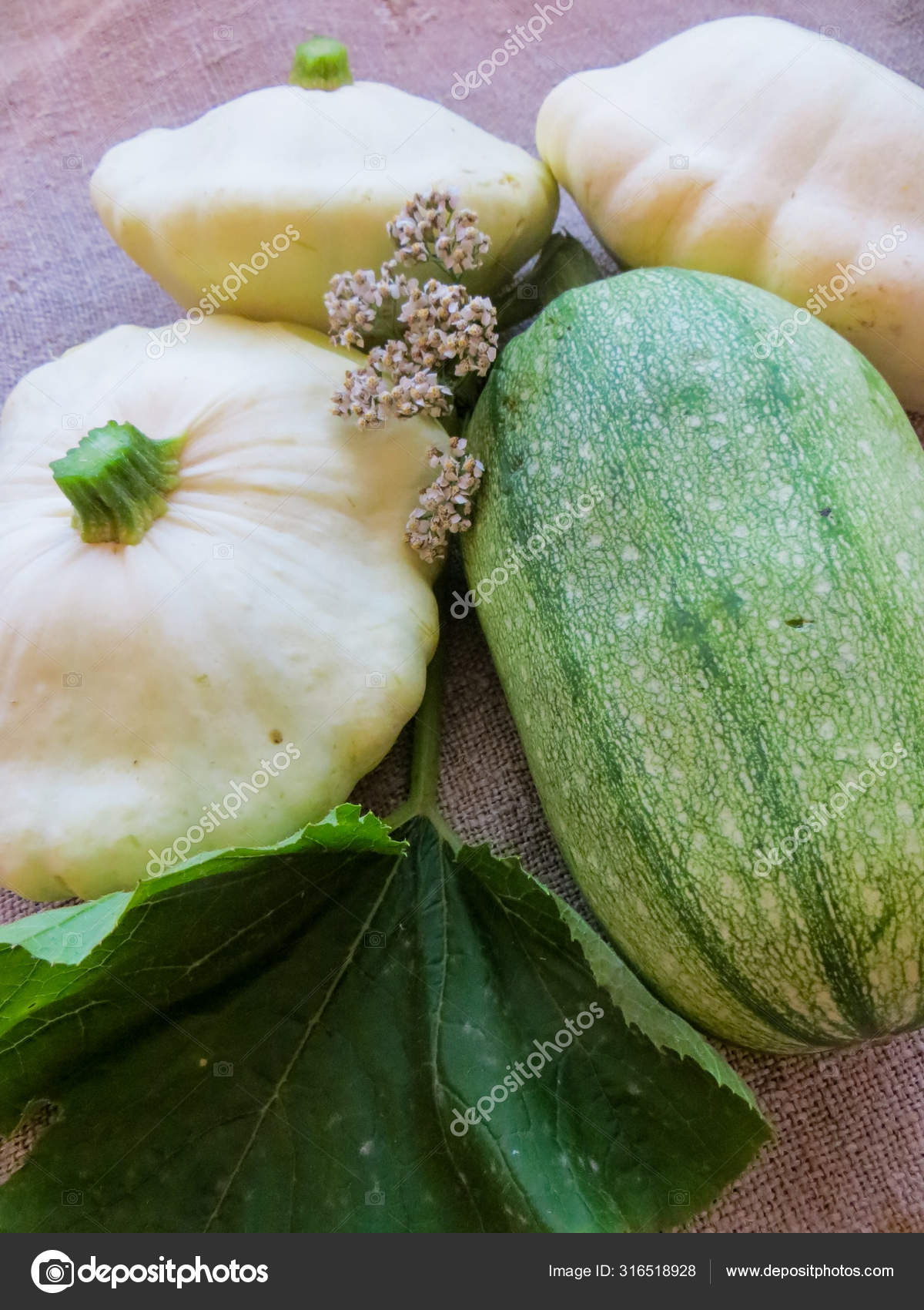 Light Green Squash