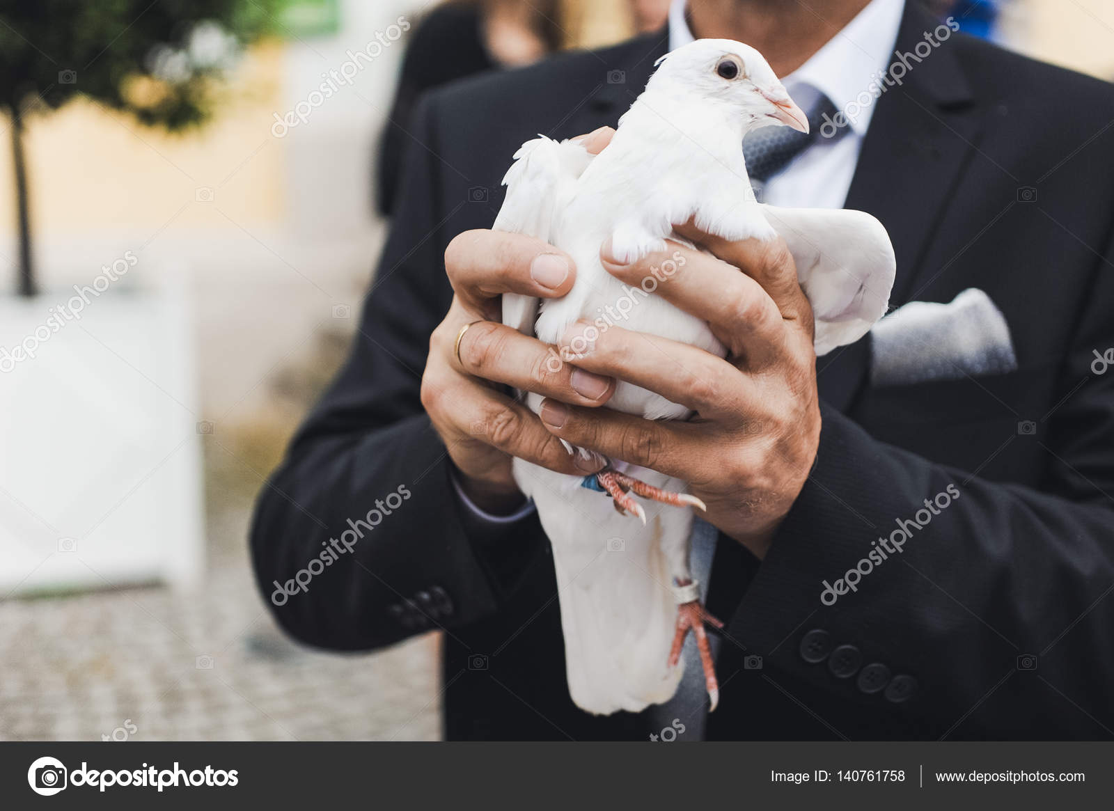 Man holding white dove — Stock Photo © bublik_polina #140761758