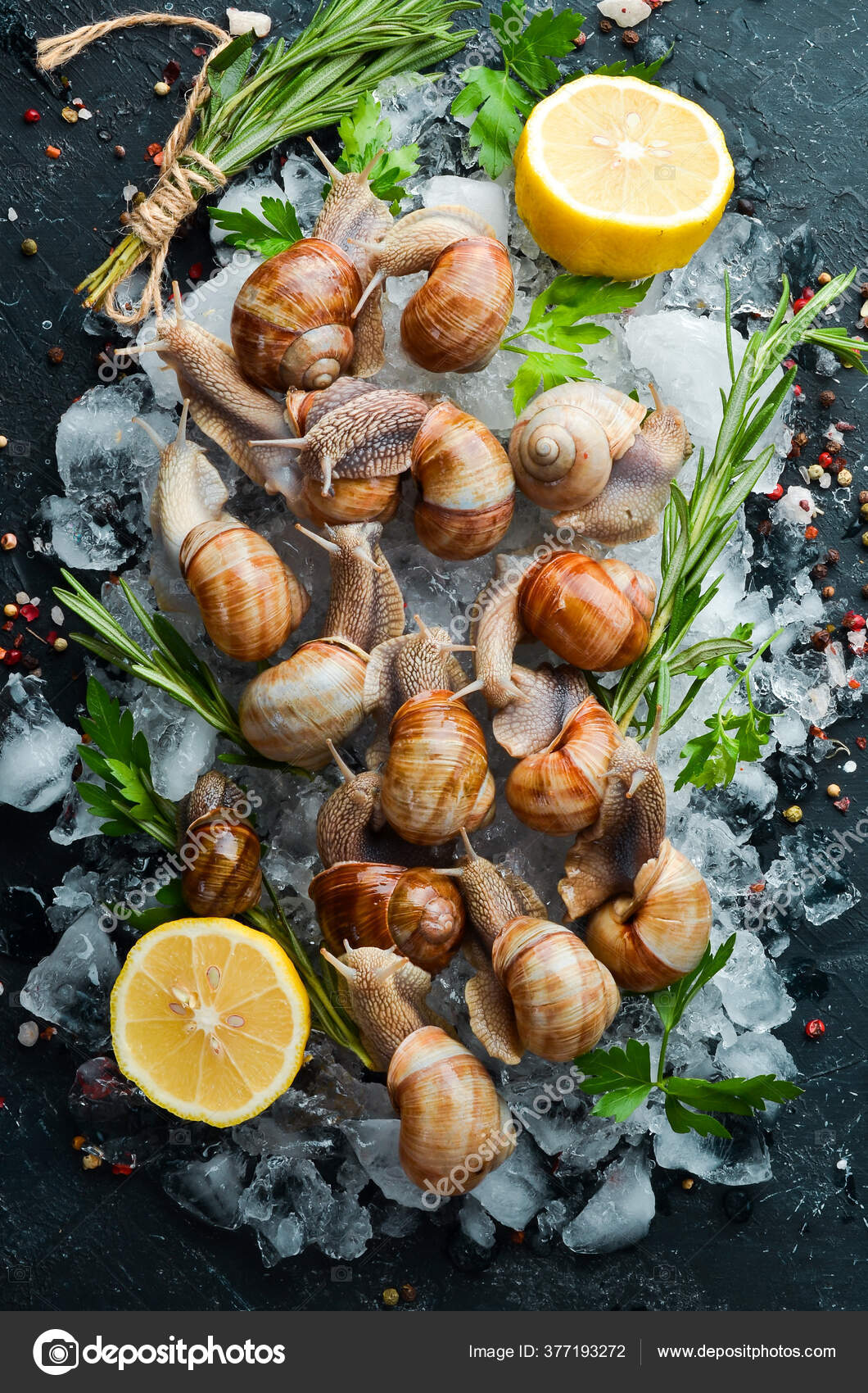 French Cooked Snails