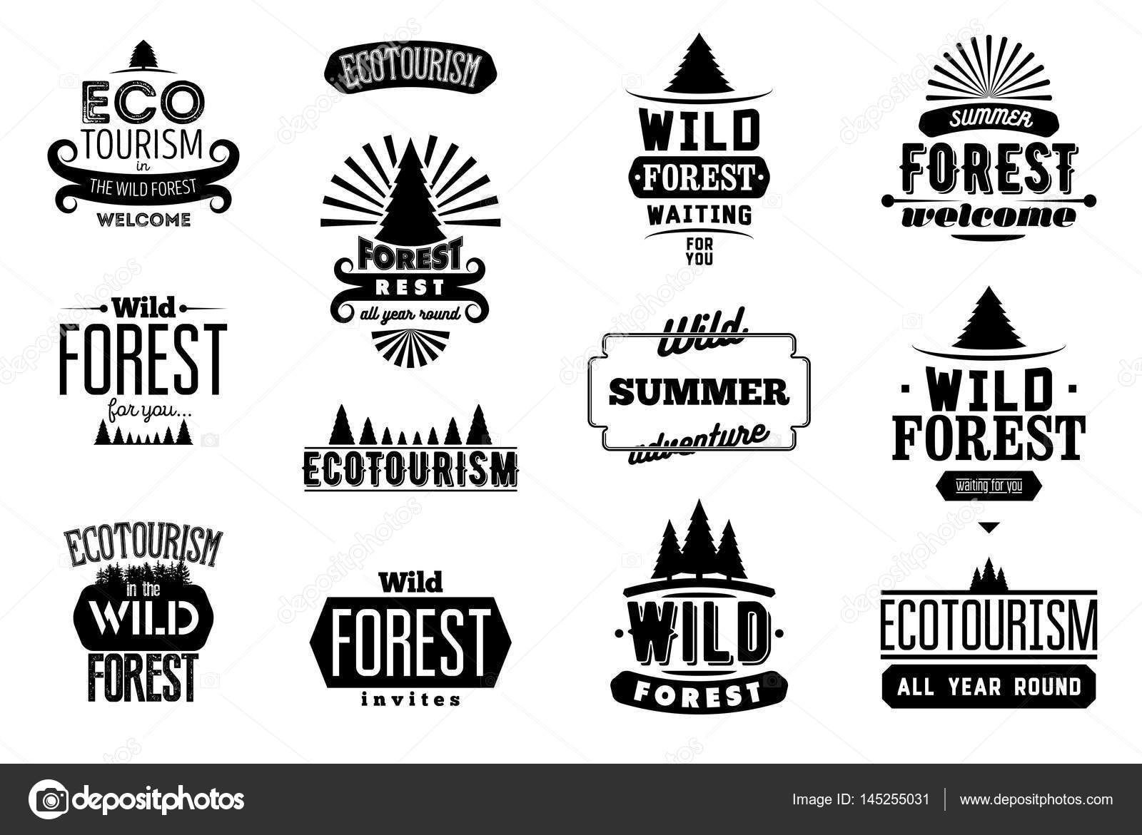 Vector Set of Wild Forest and Ecotourism typographic retro labels ...