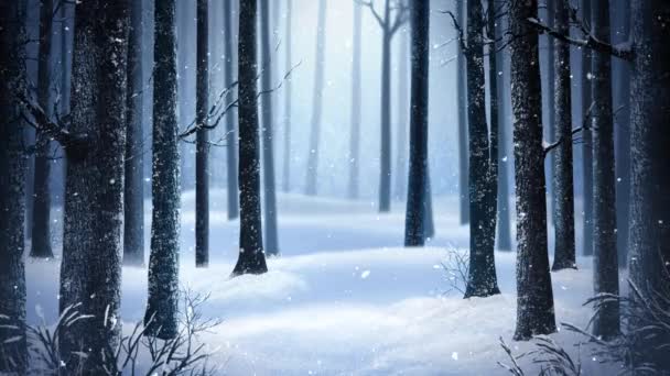 Winter Woods Snowfall Fog Loop Features Dark Forest Snow Falling ...