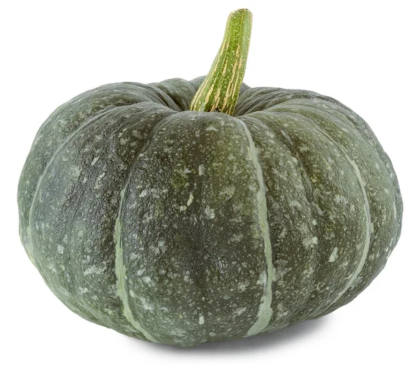 Green pumpkin Stock Photos, Royalty Free Green pumpkin Images ...