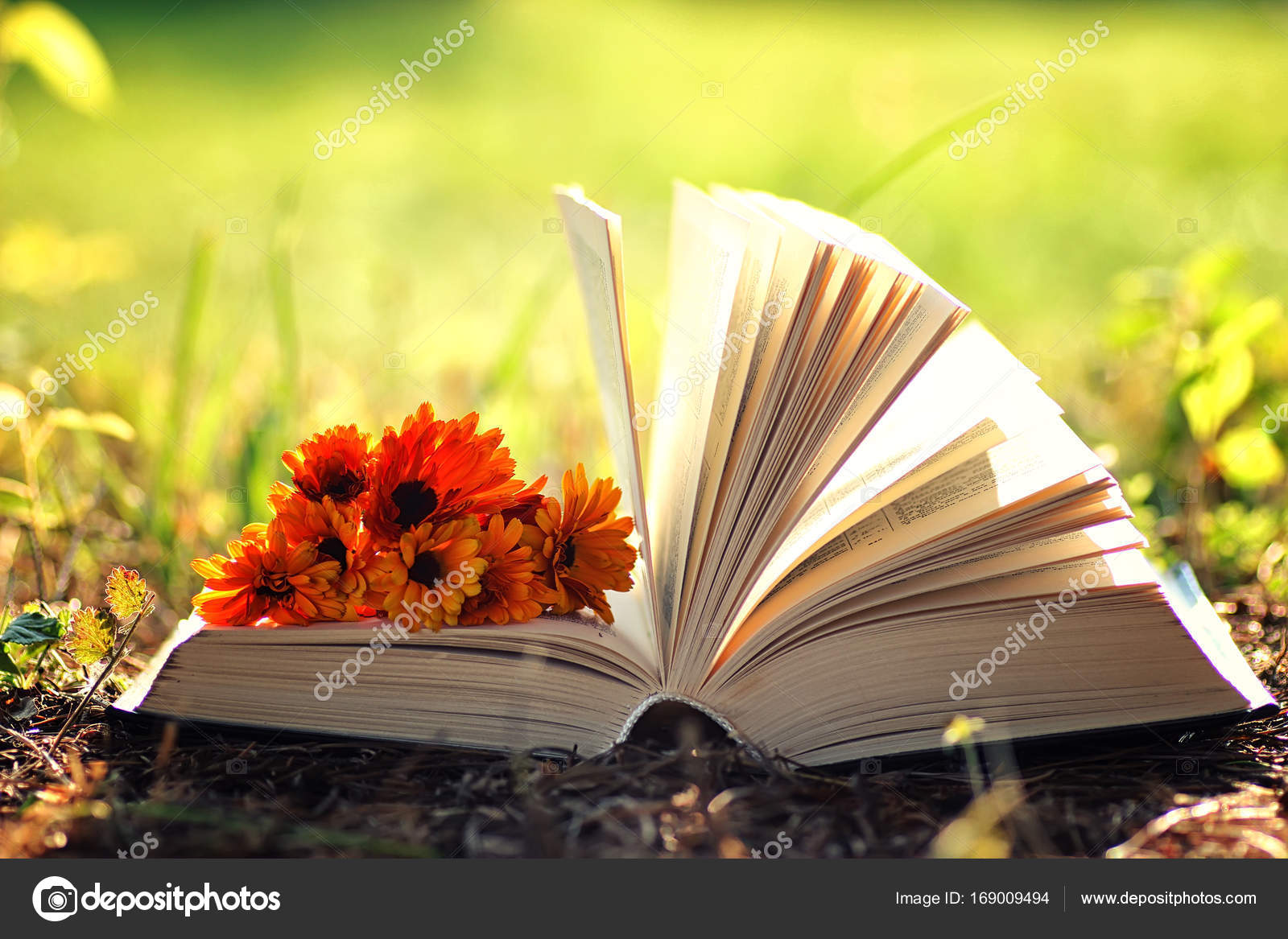 Libro abierto con flor sobre hierba — Foto de stock #169009494 © alexkich