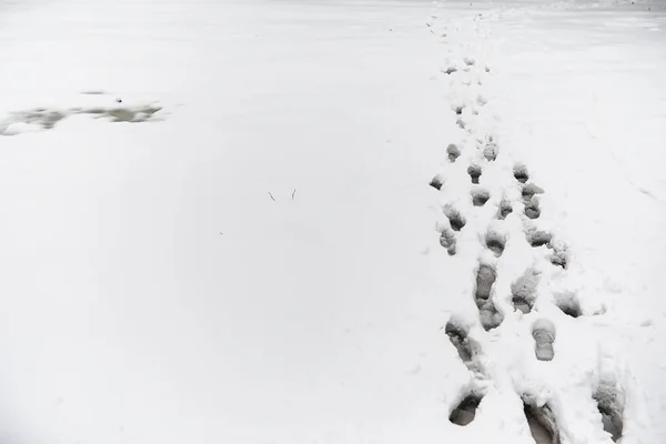 Footprints in the snow. Footprints on the first snow. Imprint of ...