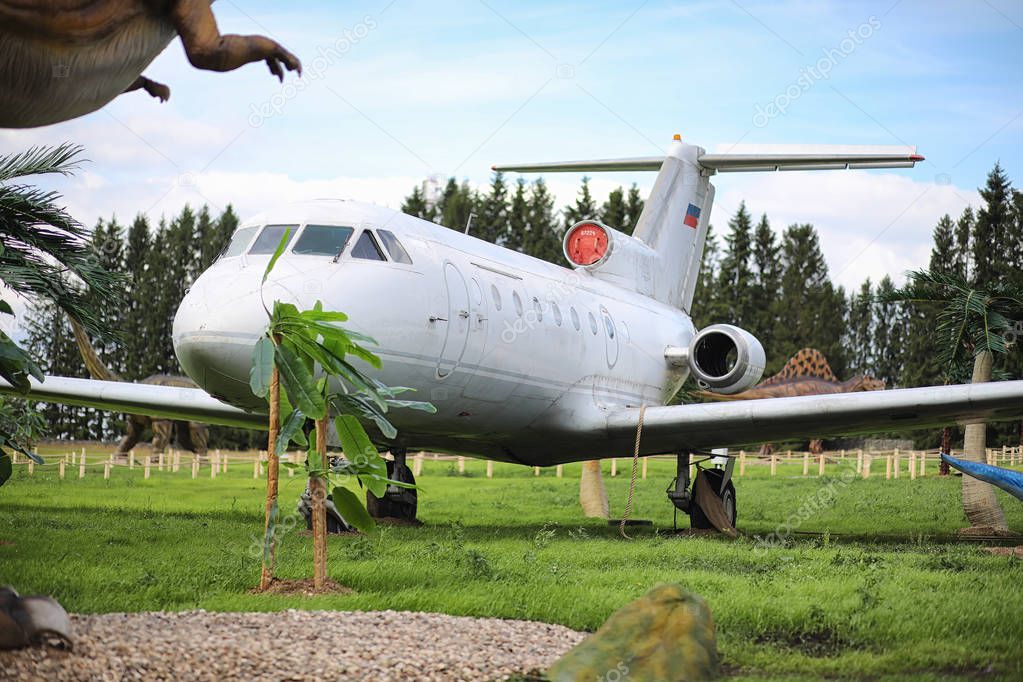 Avión En La Selva El Avión Aterrizó En La Densa Vegetación De 2023