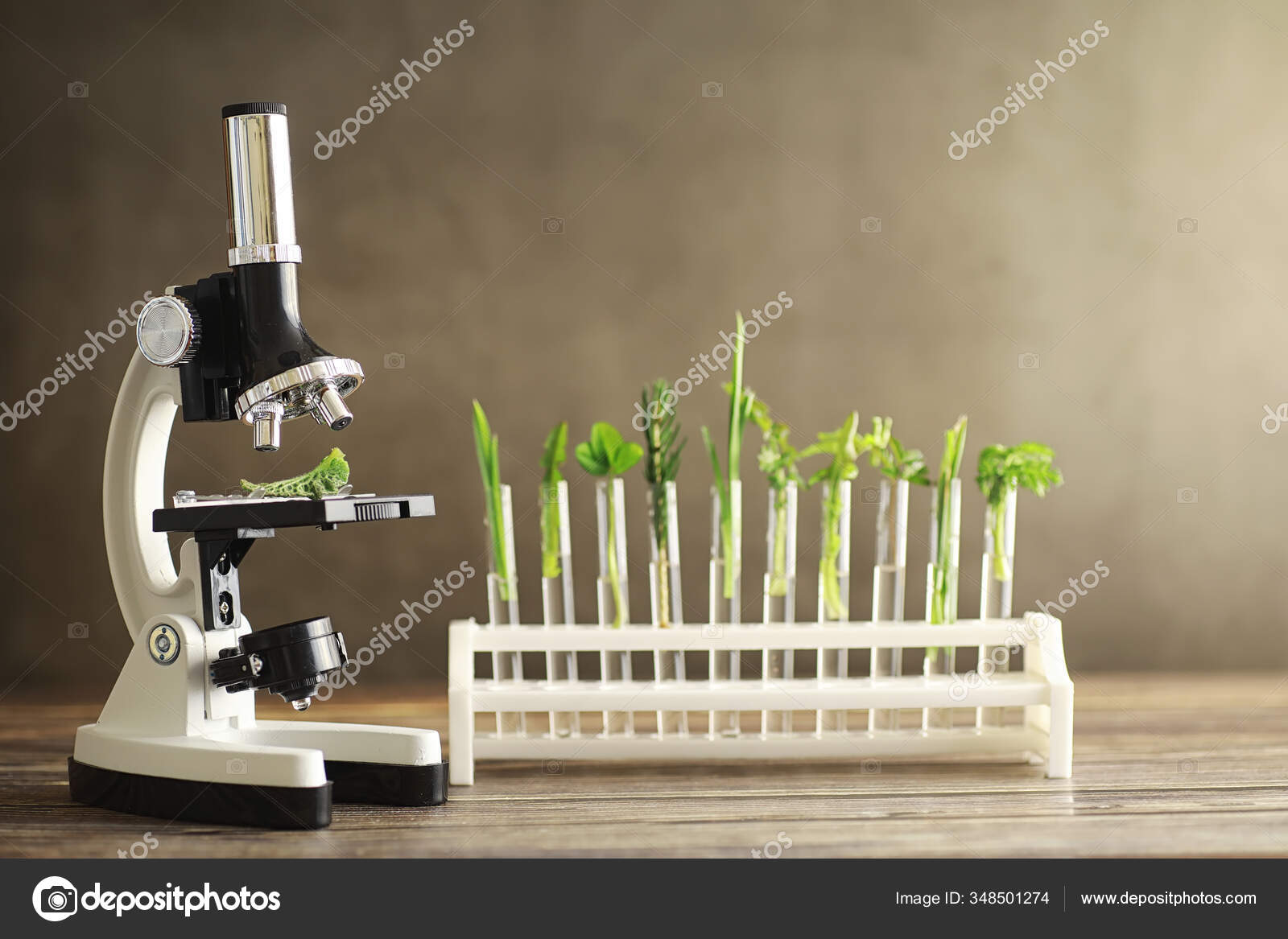 Microscopio Partes Sobre Mesa Laboratorio Estudio Sobre Los Omg Los ...