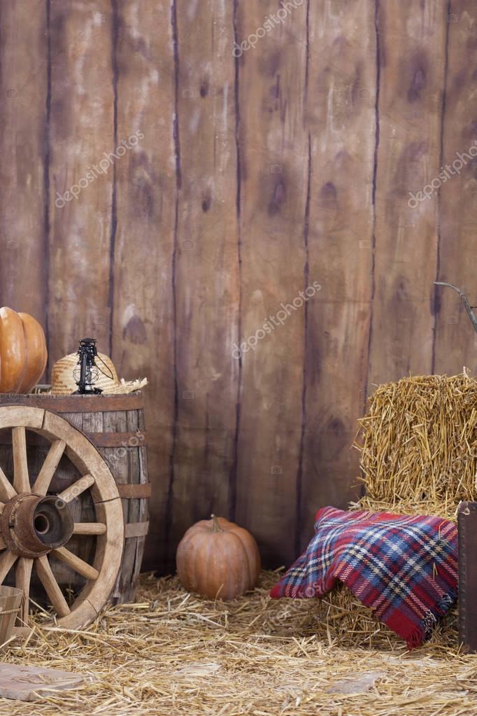 Old barn scene — Stock Photo © Nikodash #133484166
