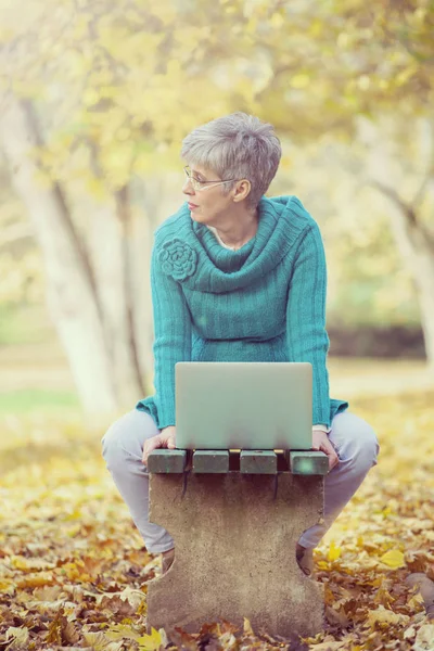 Older woman in a park using laptop computer - Stock Image - Everypixel