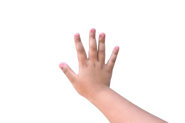 Manos fondo blanco fotos de stock, imágenes de Manos fondo blanco sin ...