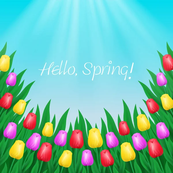 100,000 Happy spring holidays Vector Images | Depositphotos