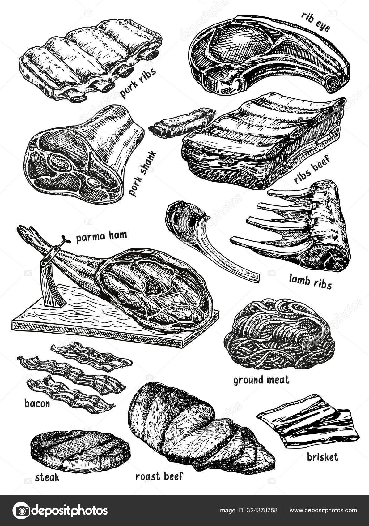 Raw Meat Vector Drawing Set Hand Drawn Beef Steak Pork Ham Roast