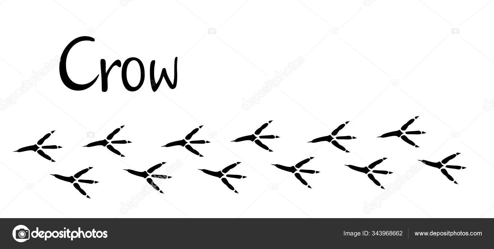 Crow paw print vector icon. Crow flat sign. Animal footprint. Crow ...