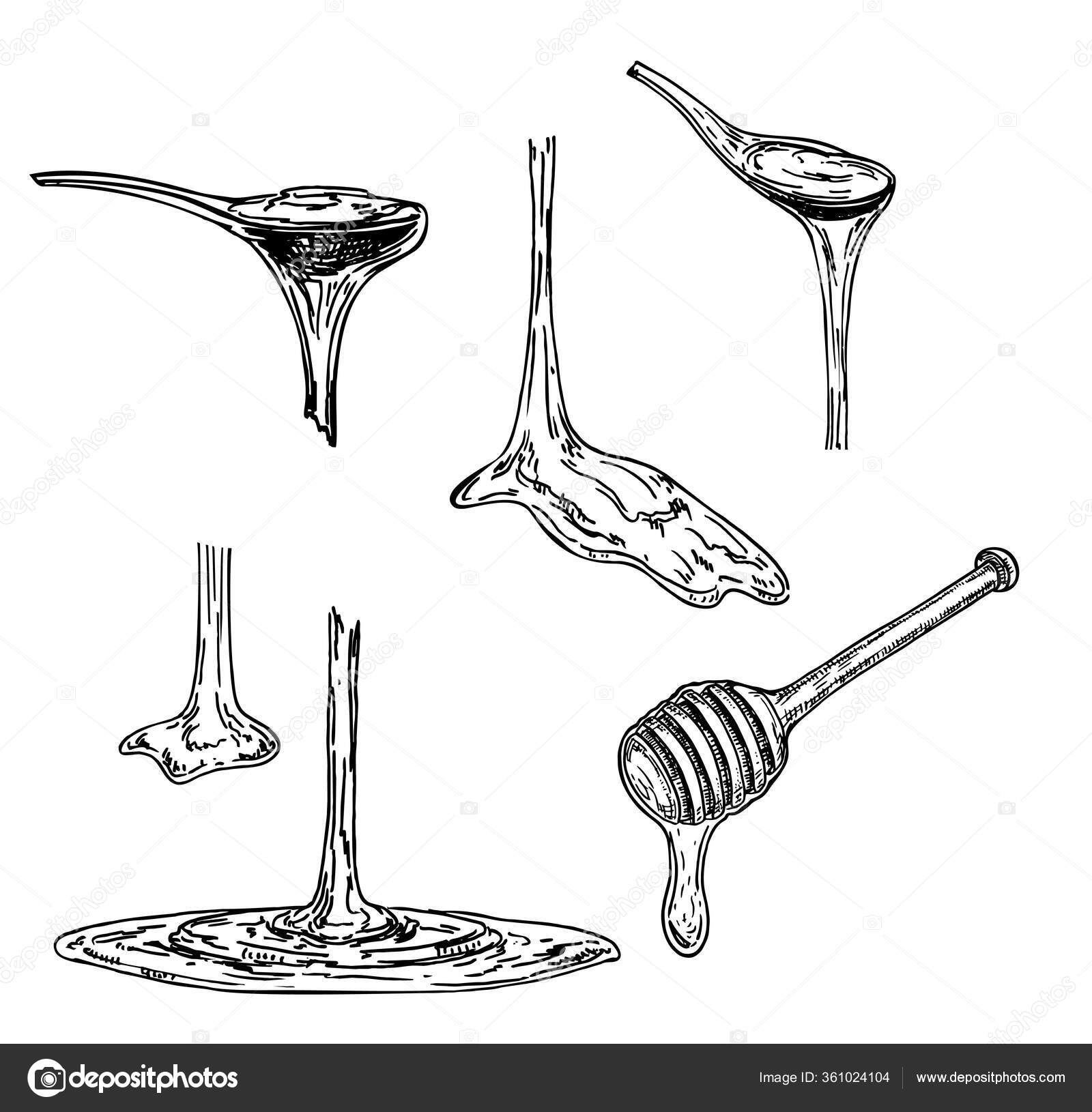 Honey or maple syrup drains from a spoon. Sketch. Viscous substance ...