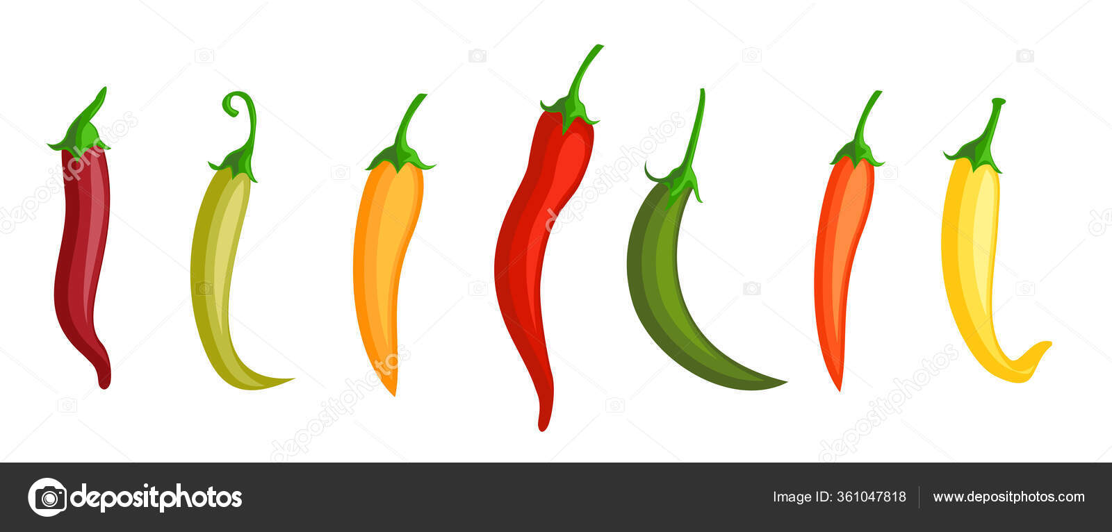 Chilli pepper. Hot red, green and yellow chili peppers. Different ...