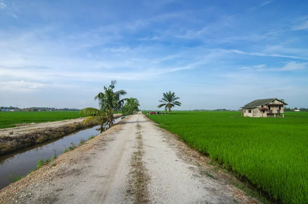 Thailand rural Stock Photos, Royalty Free Thailand rural Images ...