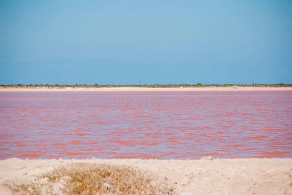 Lago Rosa. Sorprendente piscina roja utilizada en la producción de sal ...