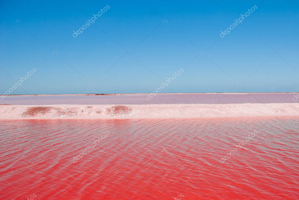 Sorprendente piscina roja utilizada en la producción de sal cerca de Rio Lagartos, México ...