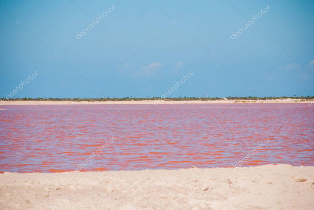 Lago Rosa. Sorprendente piscina roja utilizada en la producci n de sal cerca de Rio Lagartos, M ...