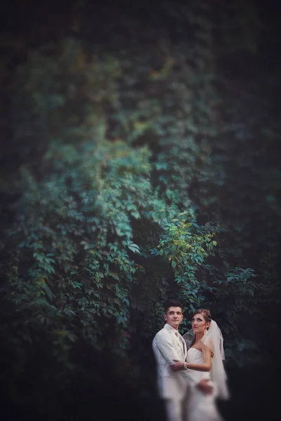 Blurry couple Stock Photos, Royalty Free Blurry couple Images ...