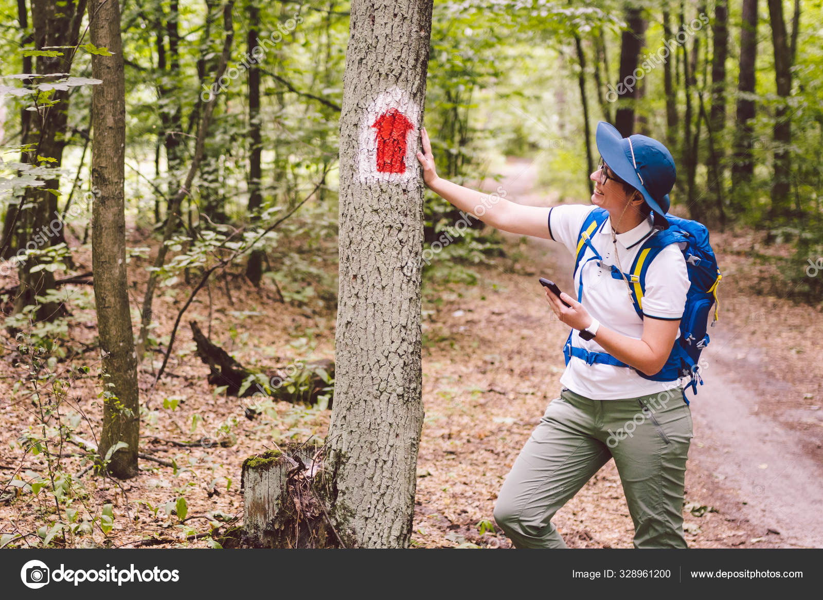 Hiking marked trail in the forest. Marking the tourist route painted on ...