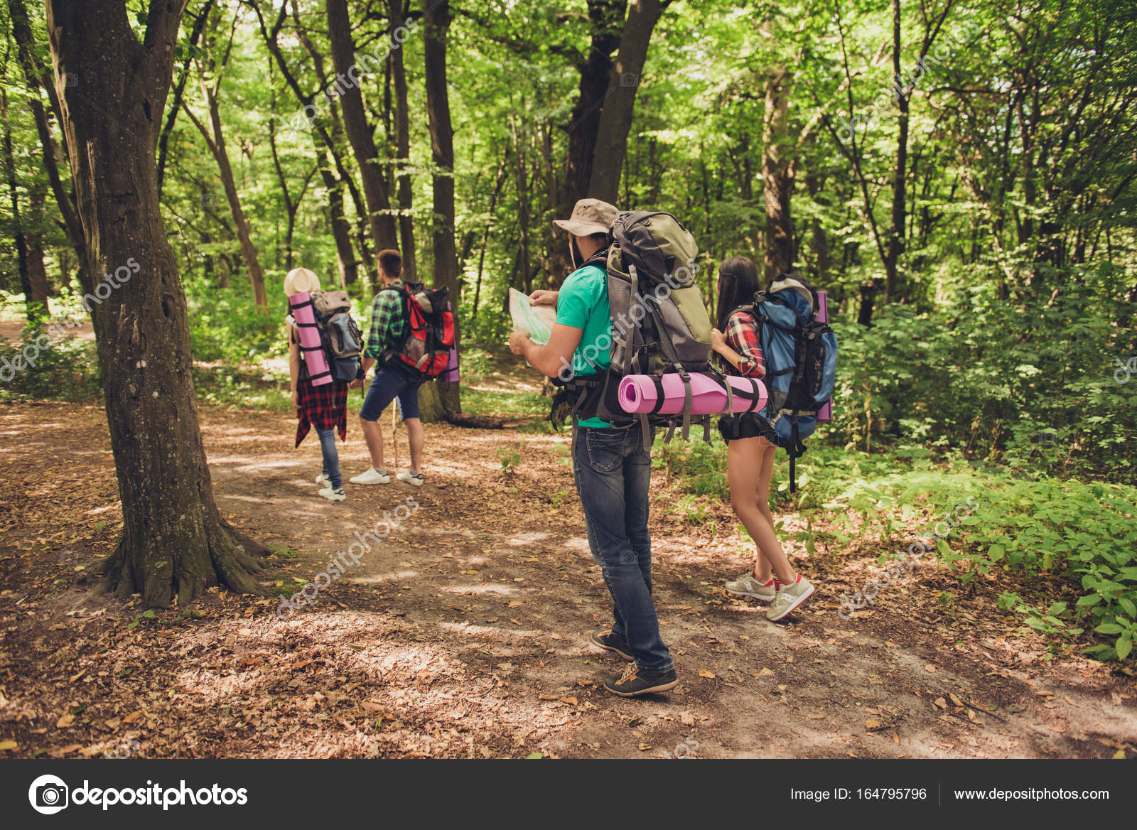 Rear view of four best friends, walking in autumn forest, amaze Stock ...