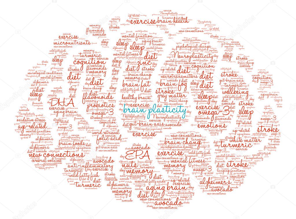 Brain Plasticity Brain Word Cloud Stock Vector by ©arloo 130310852