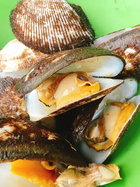 Conch Shell on The Beach Sand. Caribbean ⬇ Stock Photo, Image by ...