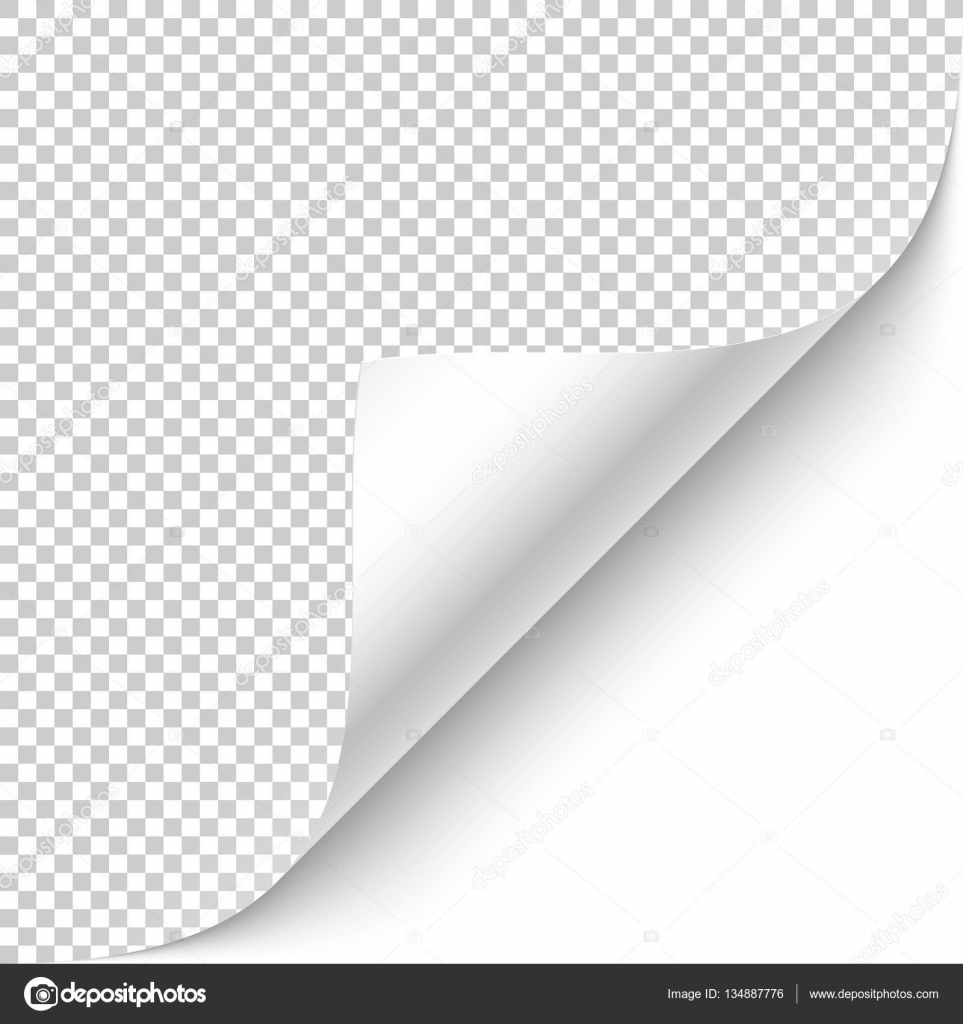 Curled corner page — Stock Vector © Alhovik #134887776