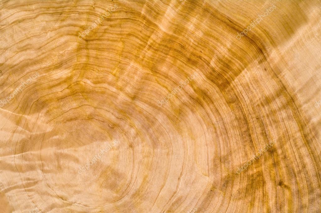 Slice of wood timber Stock Photo by ©iggy74 128668590