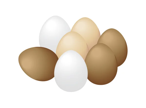 27,407,182 Dodo eggs Vector Images | Depositphotos