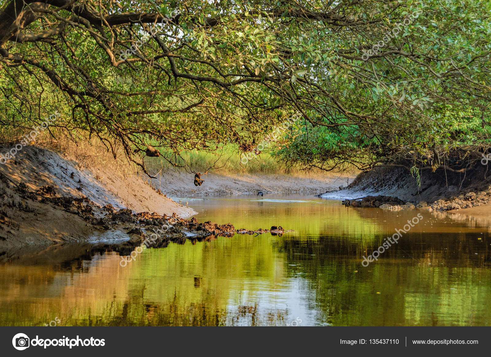 Salim Ali Bird Sanctuary