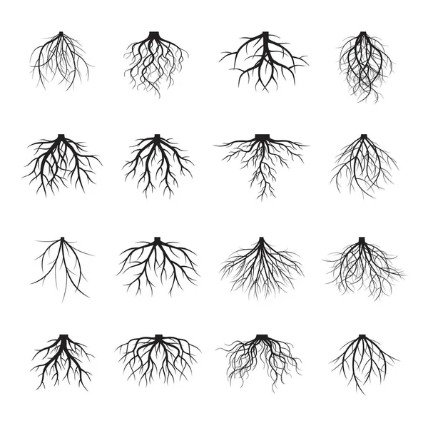 Set Black Tree Roots Vector Outline Illustration Plant Garden Stock ...